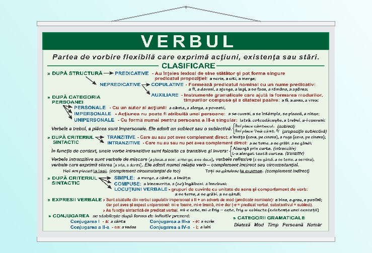 Verbul - 70x100 | My Website